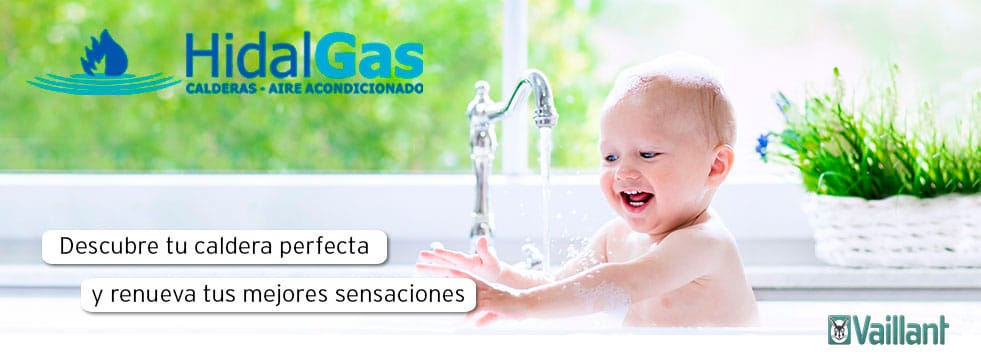 Las mejores marcas de calderas 【2019】 | Calderas de gas y de gasoil